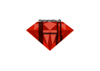 Hamamatsu.rbポジションペーパー | OsaruSystem